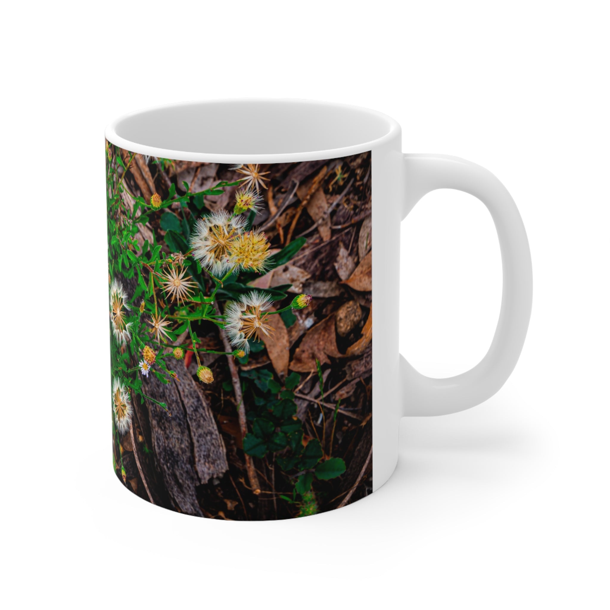 Nature Mugs: Experience Coffee in Style - The Nature Photos
